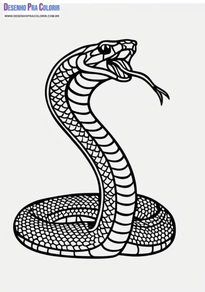 Cobra Para Colorir - Desenhos Para Imprimir e Pintar!