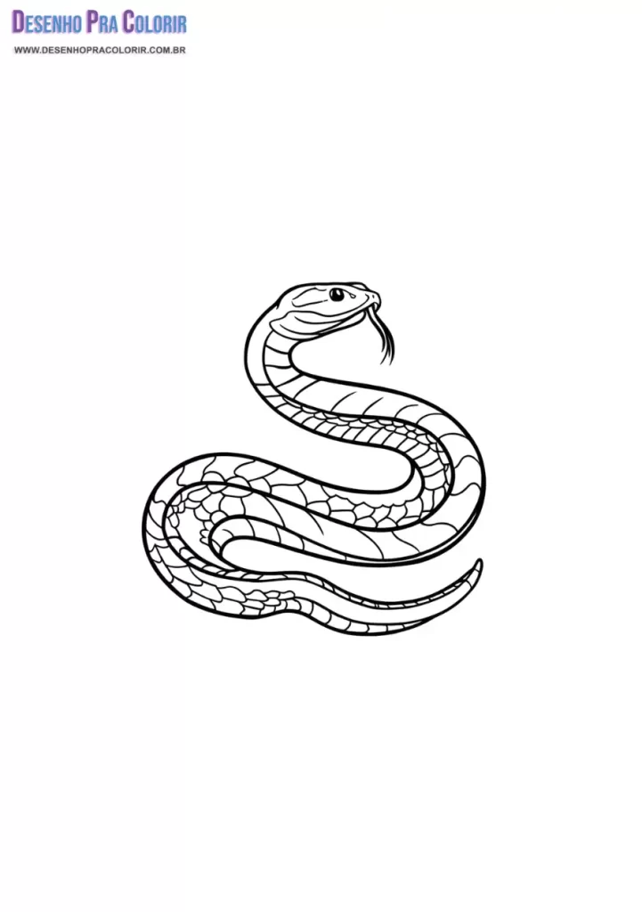 Cobra Para Colorir - Desenhos Para Imprimir e Pintar!