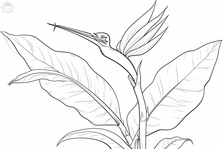 Plantas Para Colorir + De 30 Desenhos Para Imprimir e Pintar