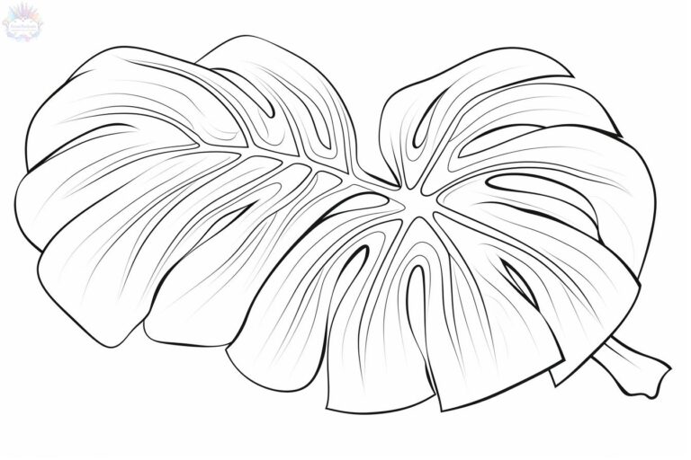 Plantas Para Colorir + De 30 Desenhos Para Imprimir e Pintar