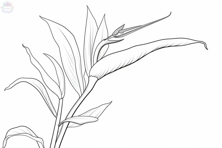 Plantas Para Colorir + De 30 Desenhos Para Imprimir e Pintar