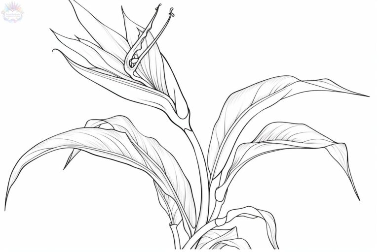 Plantas Para Colorir + De 30 Desenhos Para Imprimir e Pintar