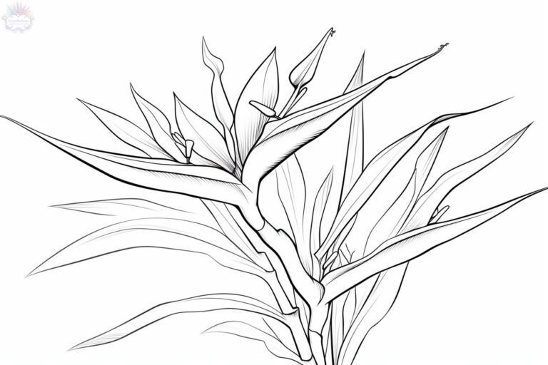 Plantas Para Colorir + De 30 Desenhos Para Imprimir e Pintar