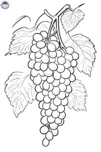 Uva Para Colorir - Vários Lindos Desenhos Para Imprimir e Pintar