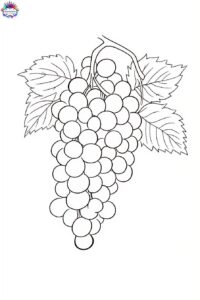 Uva Para Colorir - Vários Lindos Desenhos Para Imprimir e Pintar