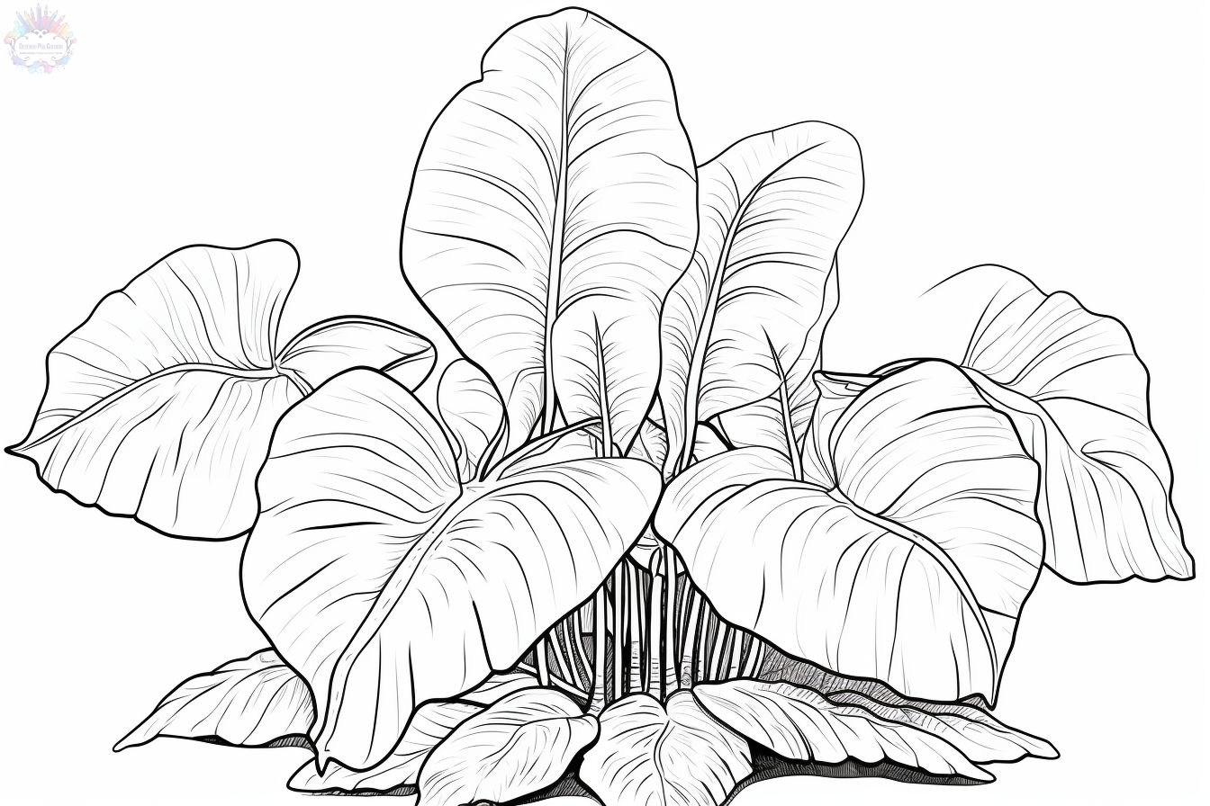 Plants Coloring Pages