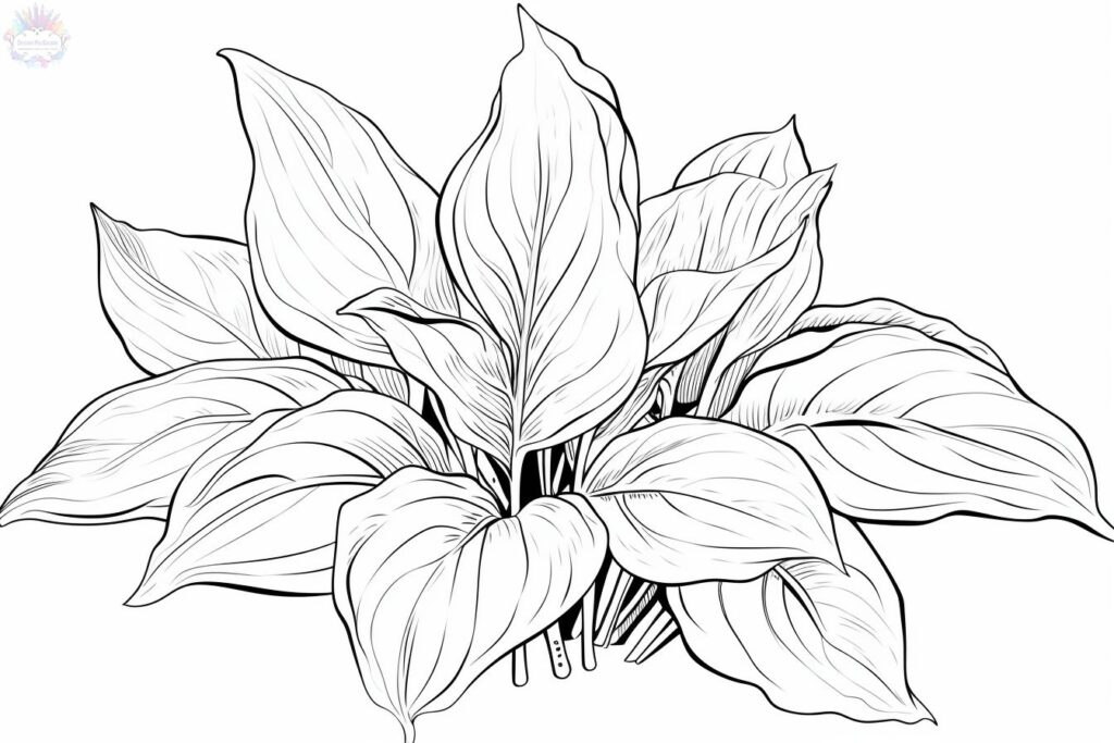 Plants Coloring Pages