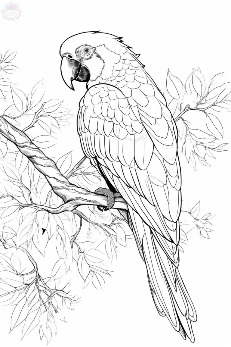 Arara Para Colorir + De 40 Desenhos Para Imprimir e Pintar