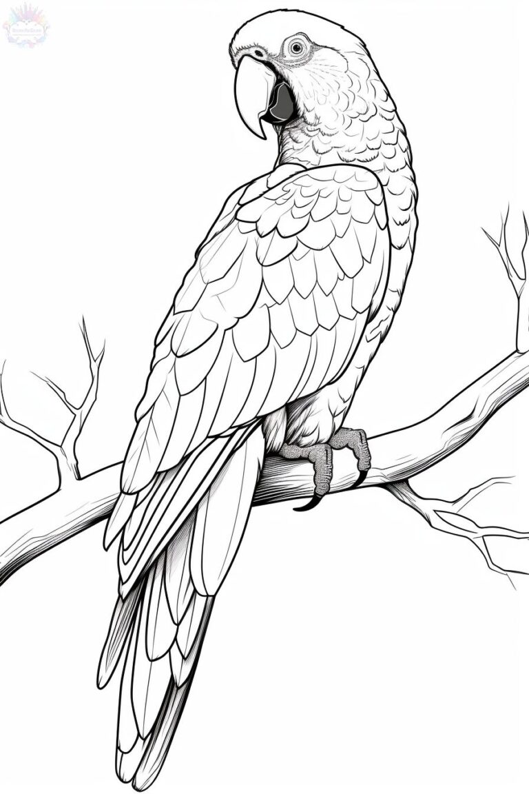 Arara Para Colorir + De 40 Desenhos Para Imprimir e Pintar