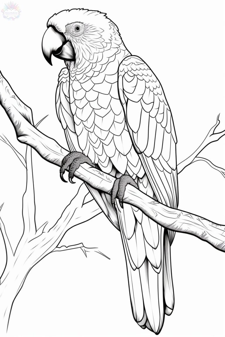 Arara Para Colorir + De 40 Desenhos Para Imprimir e Pintar