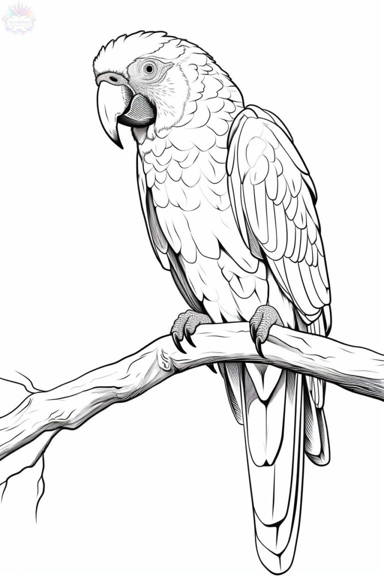 Arara Para Colorir + De 40 Desenhos Para Imprimir e Pintar