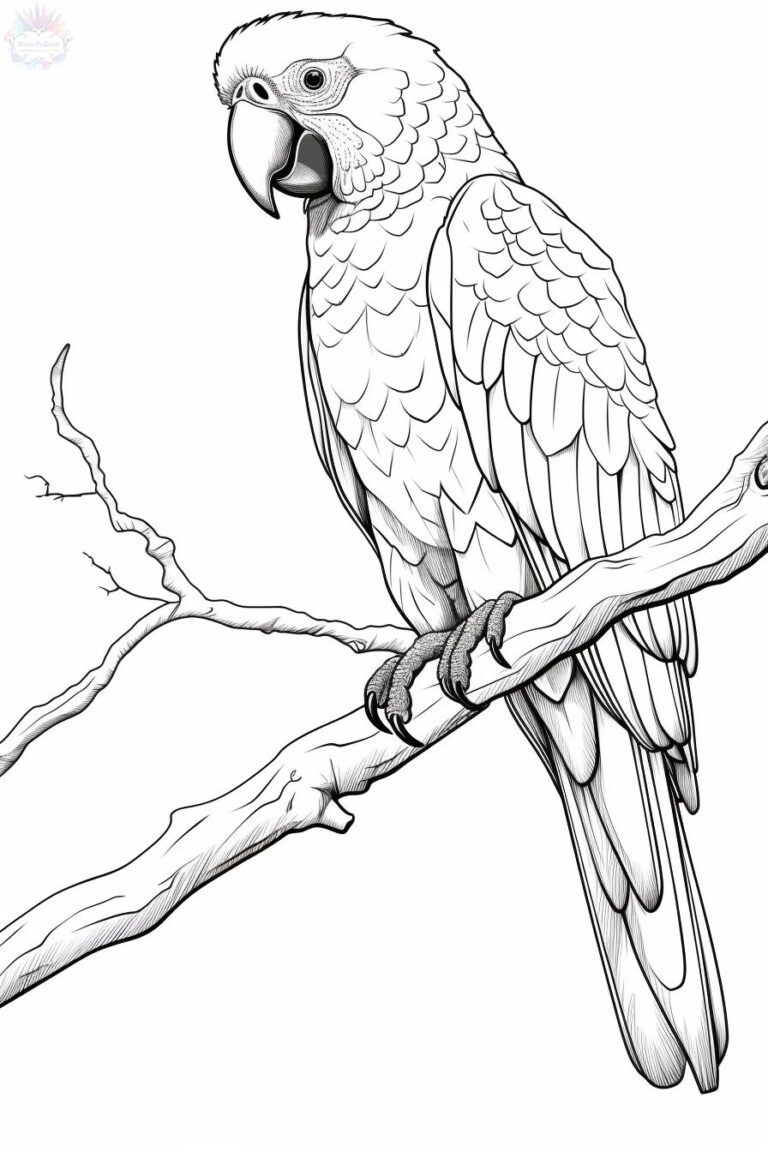 Arara Para Colorir + De 40 Desenhos Para Imprimir e Pintar