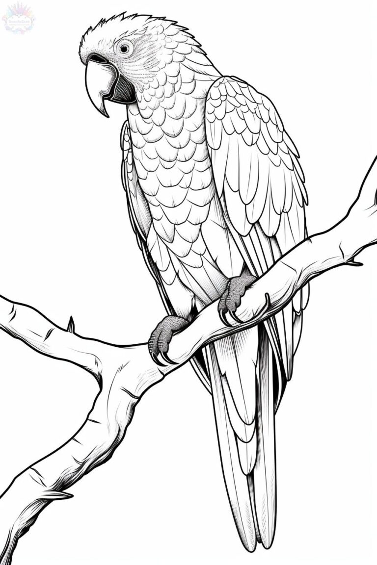 Arara Para Colorir + De 40 Desenhos Para Imprimir e Pintar