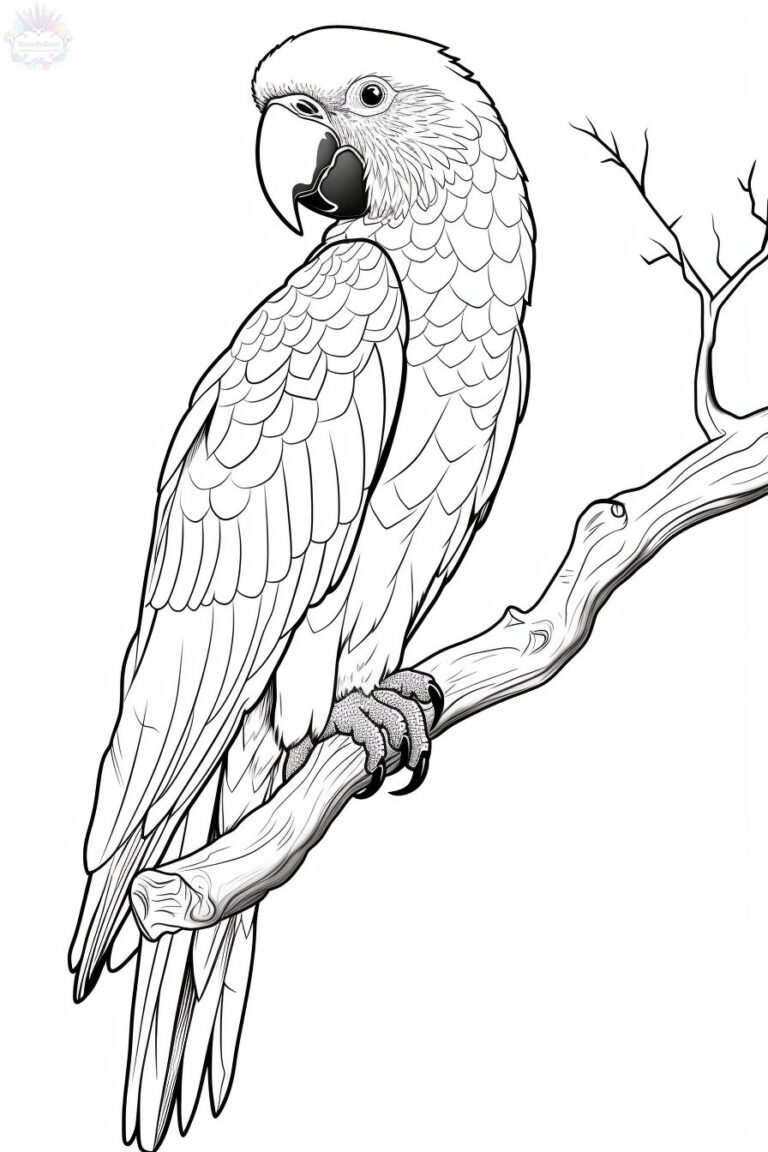 Arara Para Colorir + De 40 Desenhos Para Imprimir e Pintar