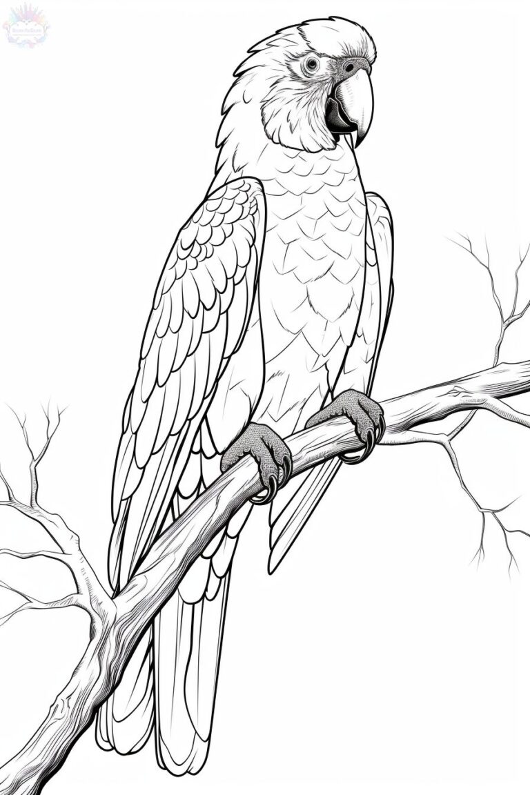 Arara Para Colorir + De 40 Desenhos Para Imprimir e Pintar