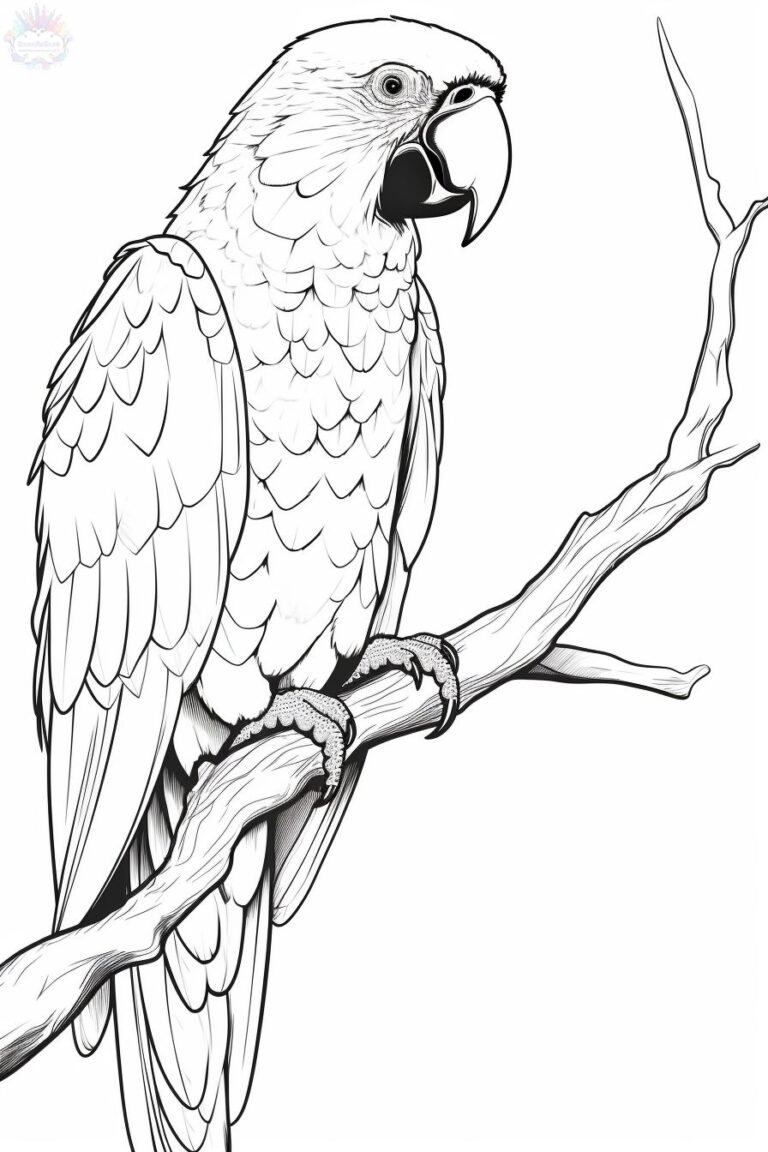 Arara Para Colorir + De 40 Desenhos Para Imprimir e Pintar