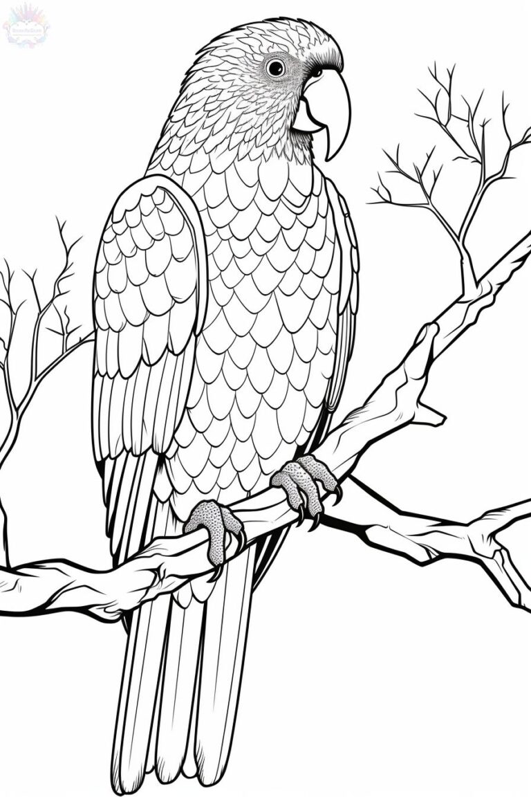 Arara Para Colorir + De 40 Desenhos Para Imprimir e Pintar