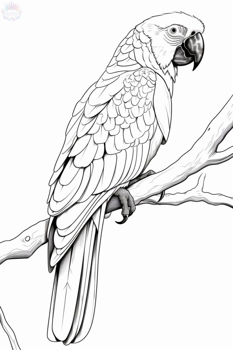 Arara Para Colorir + De 40 Desenhos Para Imprimir e Pintar