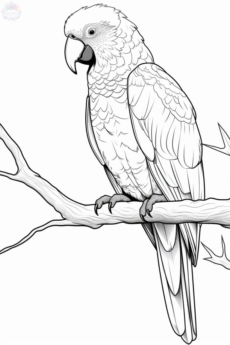 Arara Para Colorir + De 40 Desenhos Para Imprimir e Pintar