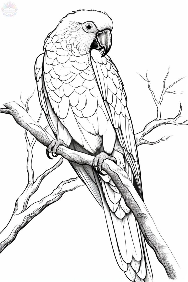 Arara Para Colorir + De 40 Desenhos Para Imprimir e Pintar