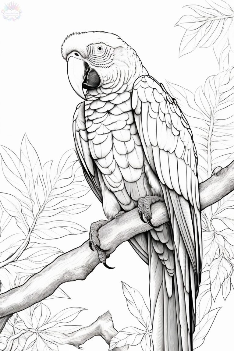 Arara Para Colorir + De 40 Desenhos Para Imprimir e Pintar