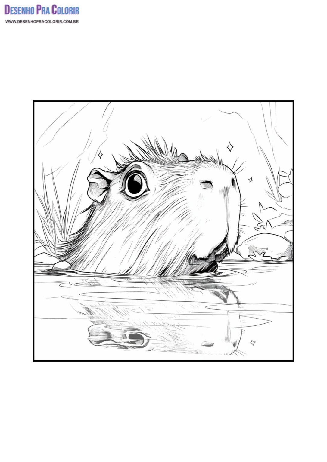 Capivara Para Colorir + De 40 Desenhos Para Imprimir e Pintar