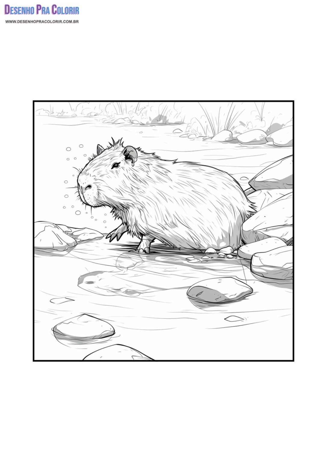 Capivara Para Colorir + De 40 Desenhos Para Imprimir e Pintar