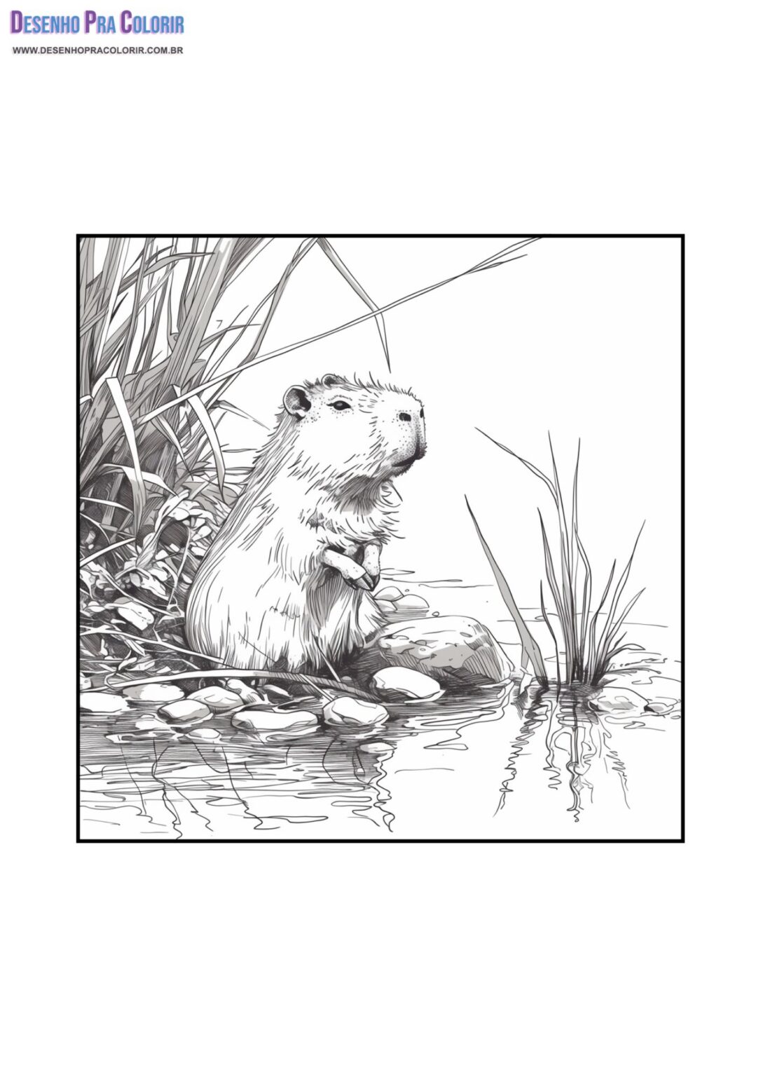 Capivara Para Colorir + De 40 Desenhos Para Imprimir e Pintar