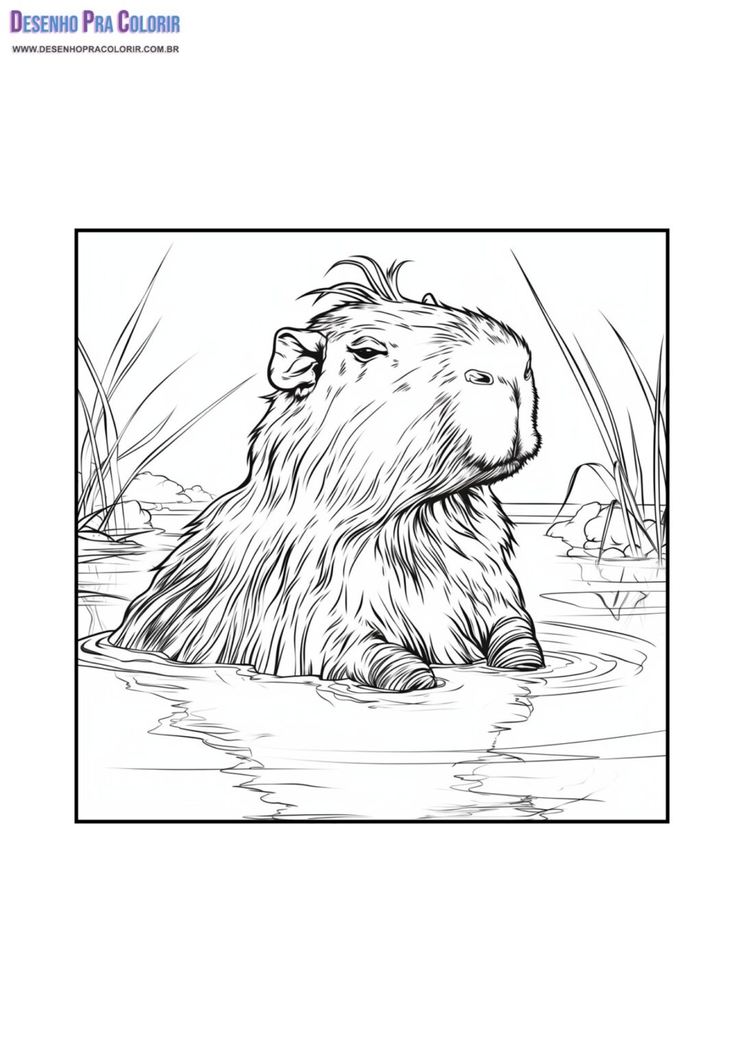 Capivara Para Colorir + De 40 Desenhos Para Imprimir e Pintar