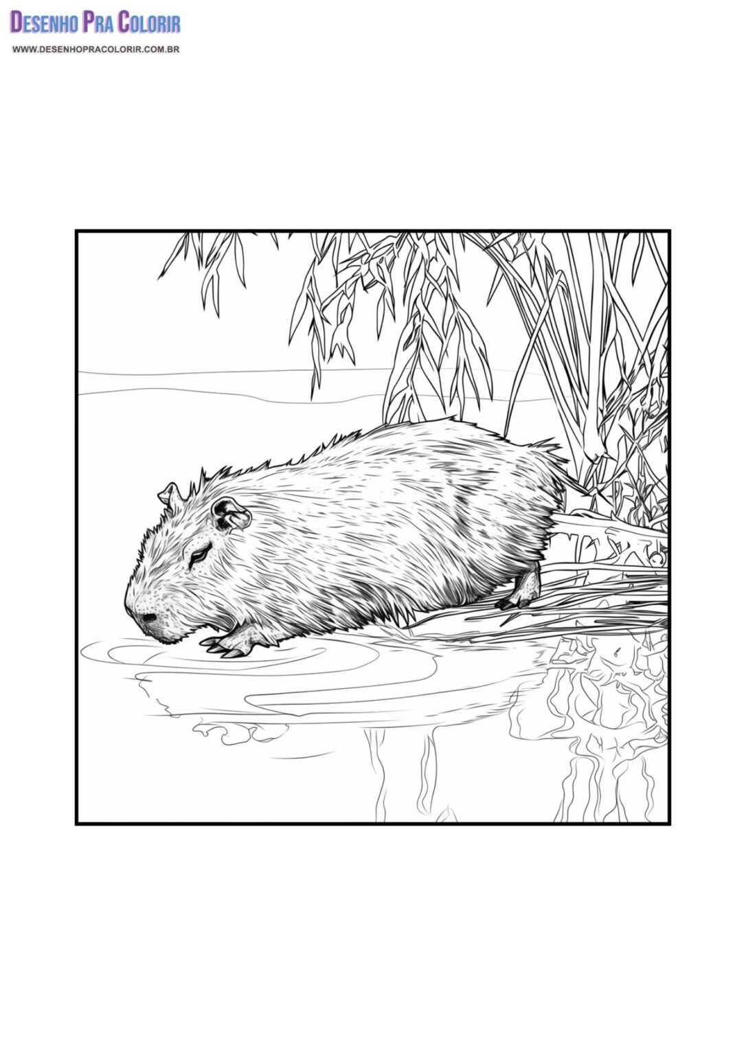 Capivara Para Colorir + De 40 Desenhos Para Imprimir e Pintar