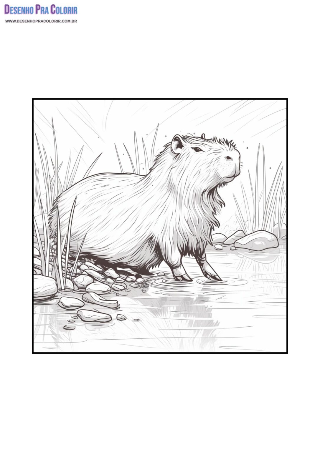 Capivara Para Colorir + De 40 Desenhos Para Imprimir e Pintar