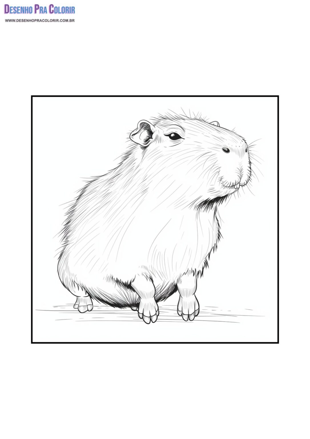Capivara Para Colorir + De 40 Desenhos Para Imprimir e Pintar