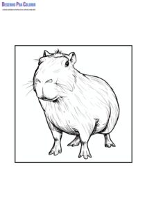 Capivara Para Colorir + De 40 Desenhos Para Imprimir e Pintar