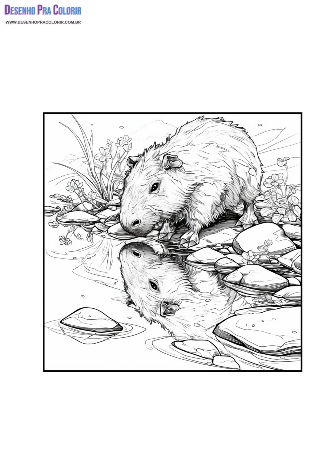 Capivara Para Colorir + De 40 Desenhos Para Imprimir e Pintar