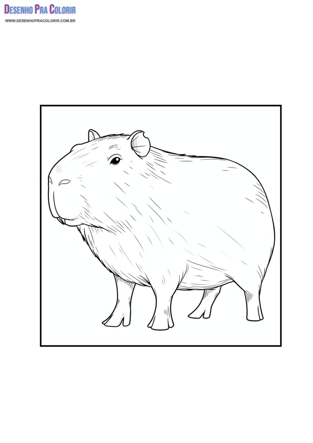 Capivara Para Colorir + De 40 Desenhos Para Imprimir e Pintar