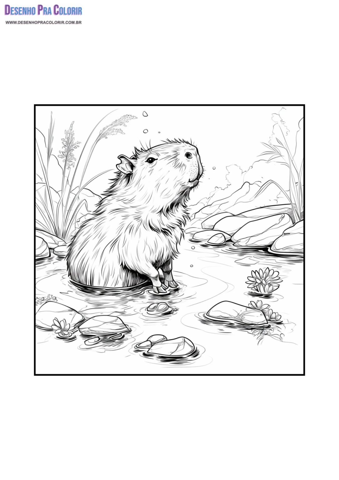 Capivara Para Colorir + De 40 Desenhos Para Imprimir e Pintar