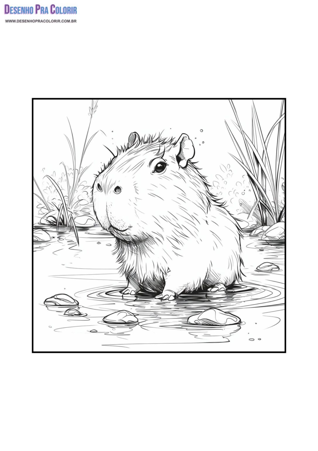 Capivara Para Colorir + De 40 Desenhos Para Imprimir e Pintar
