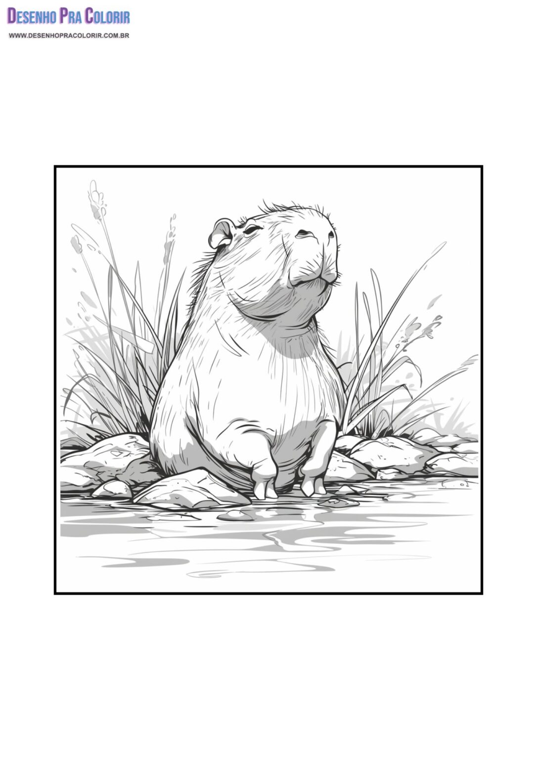 Capivara Para Colorir + De 40 Desenhos Para Imprimir e Pintar