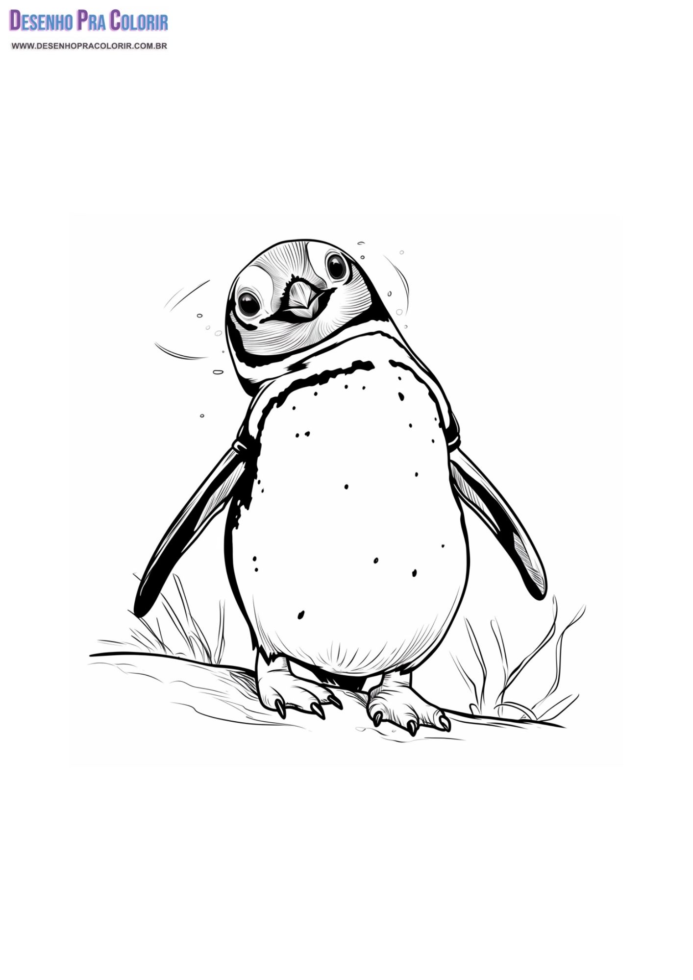 Pinguim Para Colorir + De 40 Desenhos Para Imprimir e Pintar