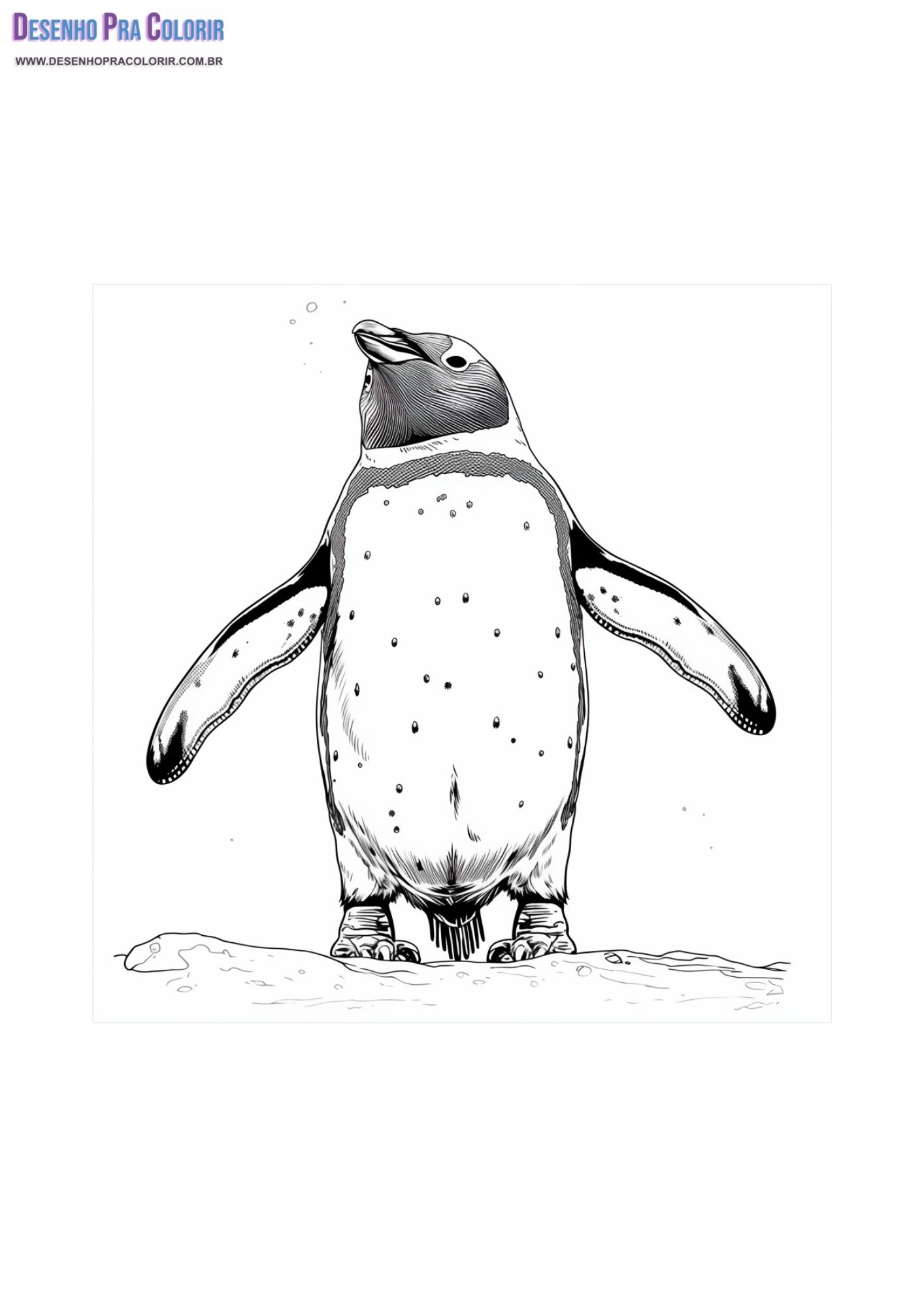 Pinguim Para Colorir + De 40 Desenhos Para Imprimir e Pintar
