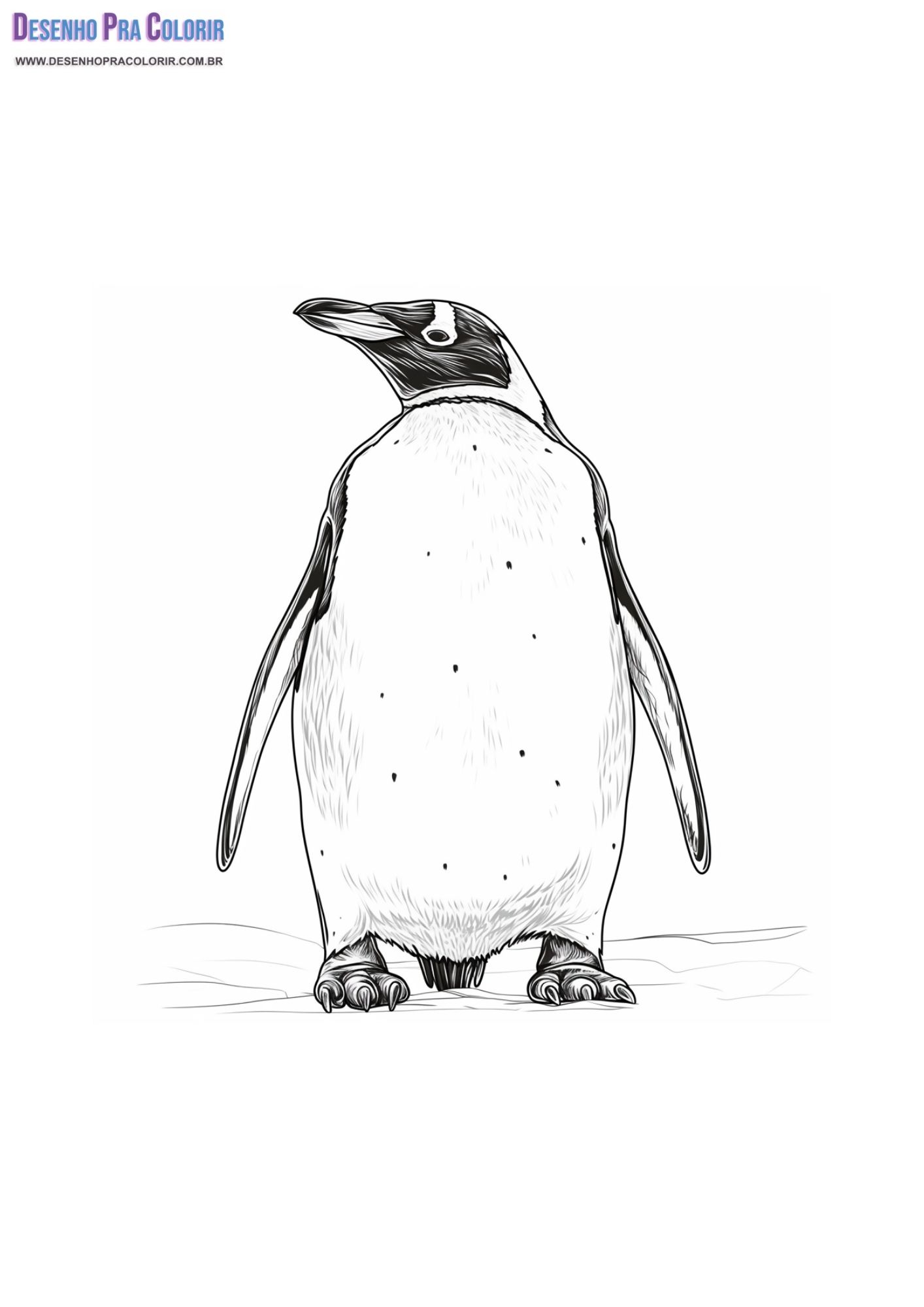 Pinguim Para Colorir + De 40 Desenhos Para Imprimir e Pintar