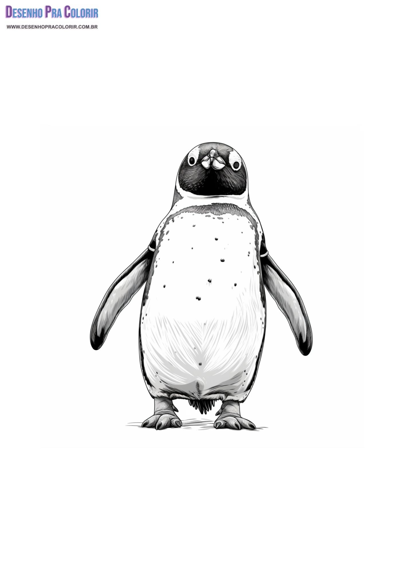Pinguim Para Colorir + De 40 Desenhos Para Imprimir e Pintar
