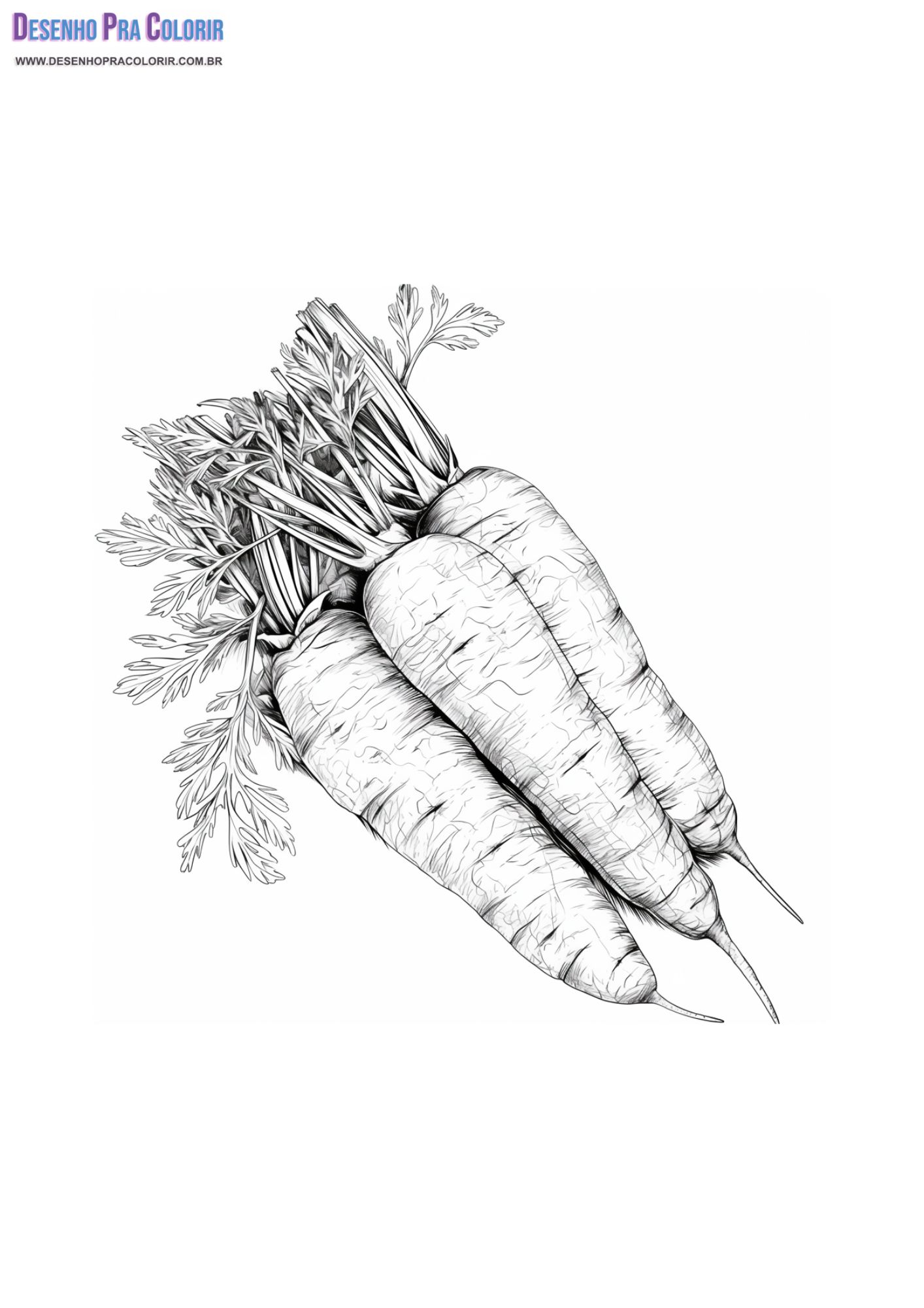 Carrot Coloring Pages