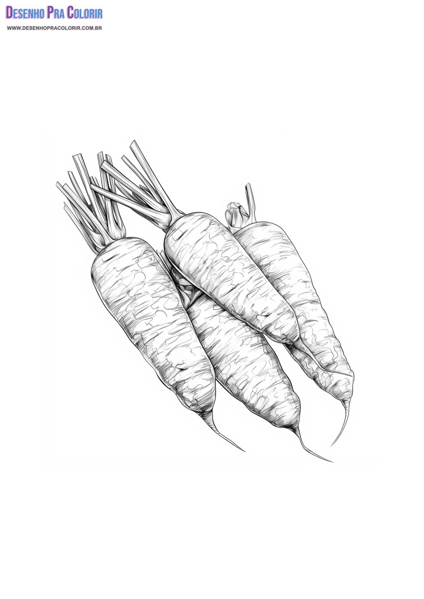 Carrot Coloring Pages