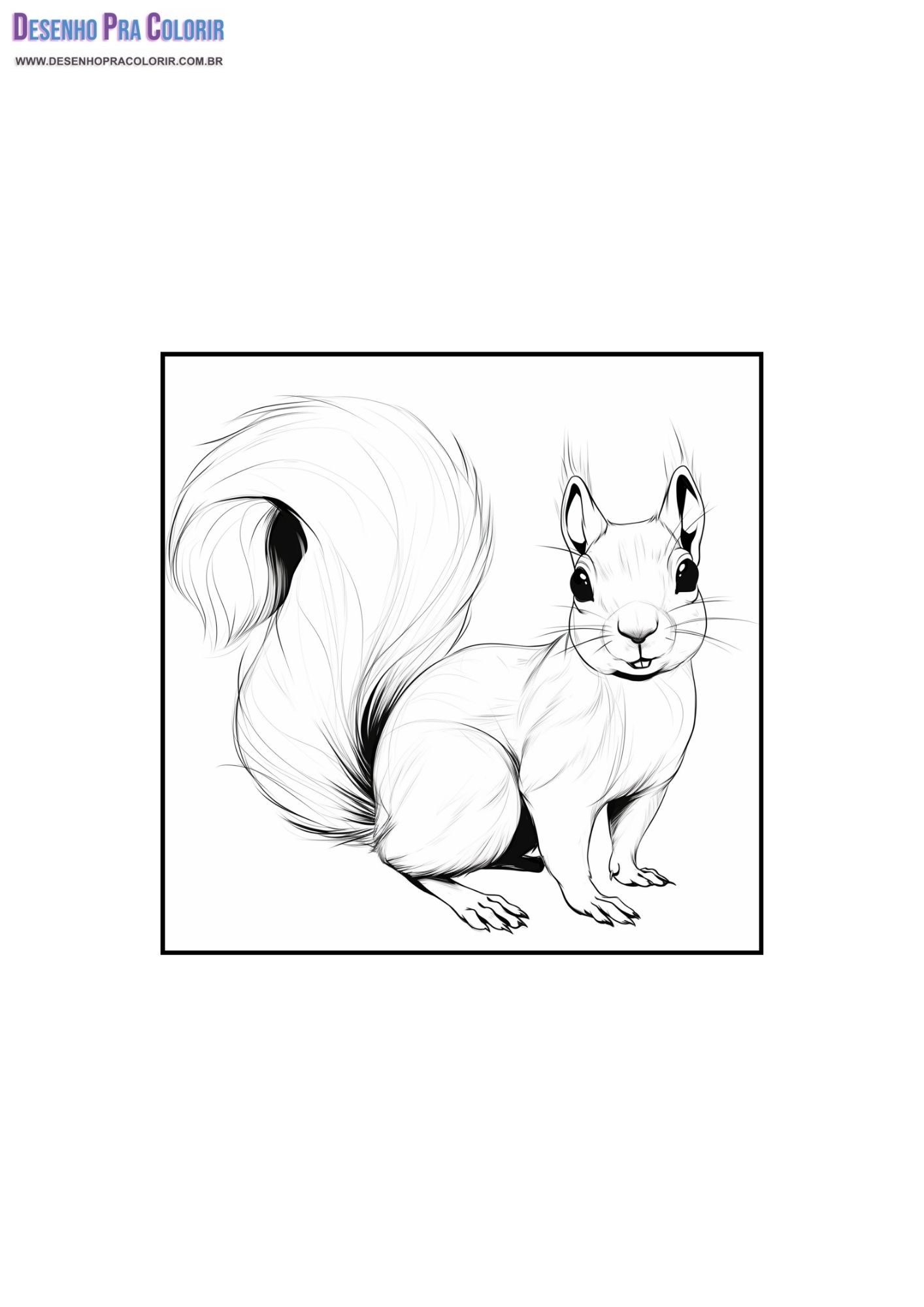 Esquilo Para Colorir - São + de 30 Desenhos Para Imprimir e Pintar