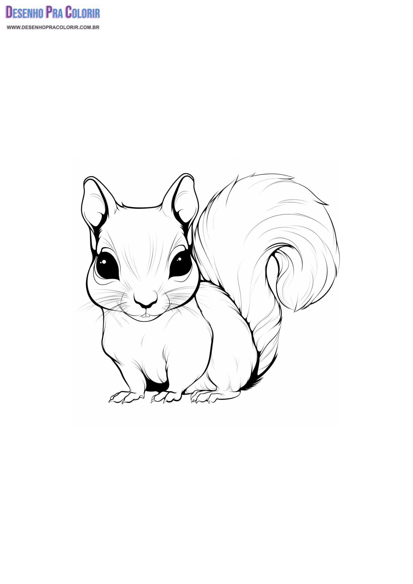 Esquilo Para Colorir - São + de 30 Desenhos Para Imprimir e Pintar