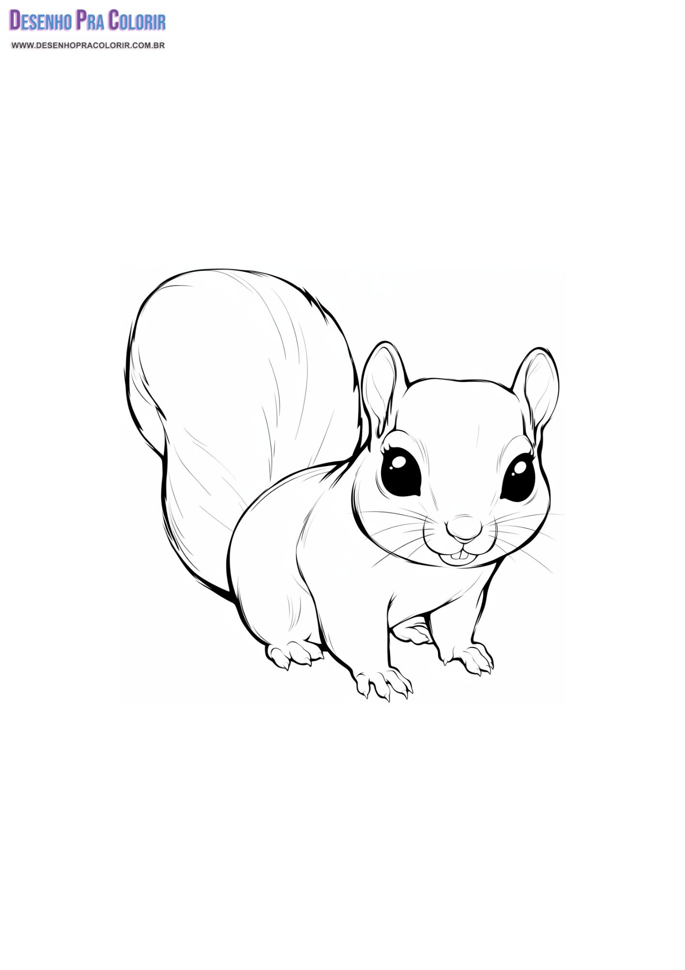 Esquilo Para Colorir - São + de 30 Desenhos Para Imprimir e Pintar