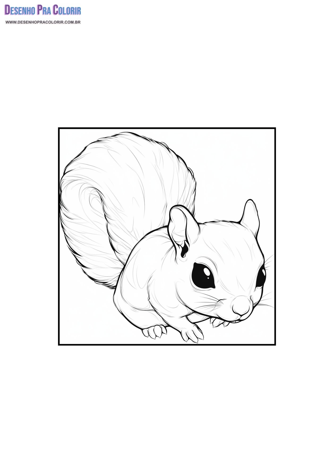 Esquilo Para Colorir - São + de 30 Desenhos Para Imprimir e Pintar