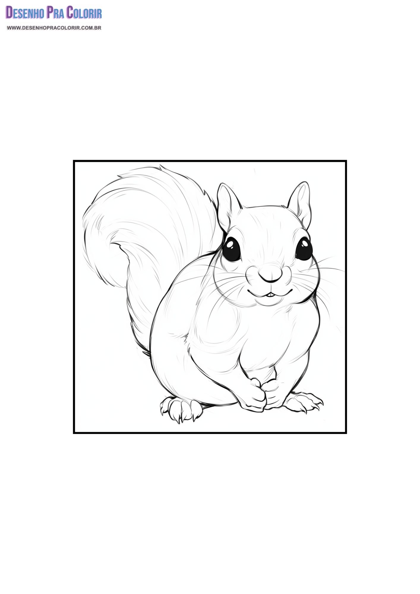 Esquilo Para Colorir - São + de 30 Desenhos Para Imprimir e Pintar