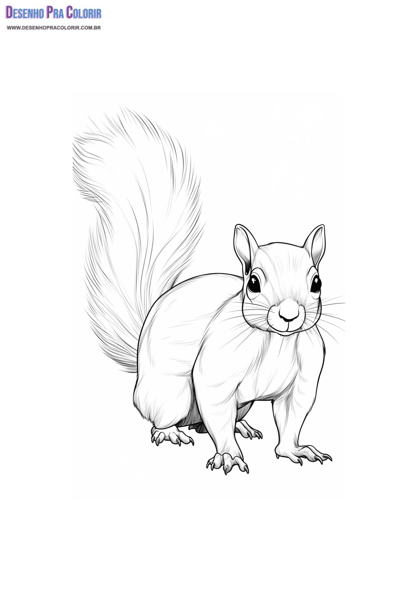 Esquilo Para Colorir - São + de 30 Desenhos Para Imprimir e Pintar